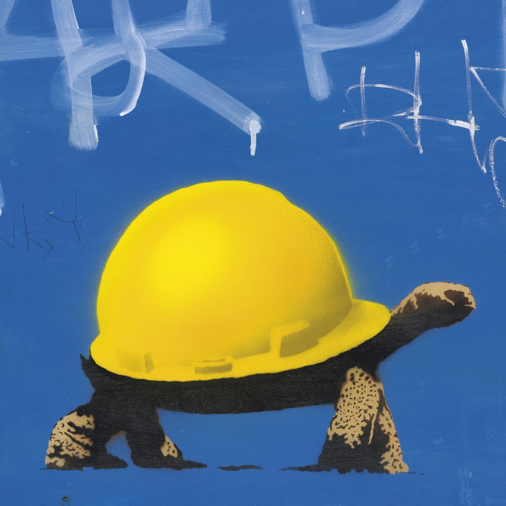 TORTOISE HELMET - Fundación Maria Cristina Masaveu Peterson